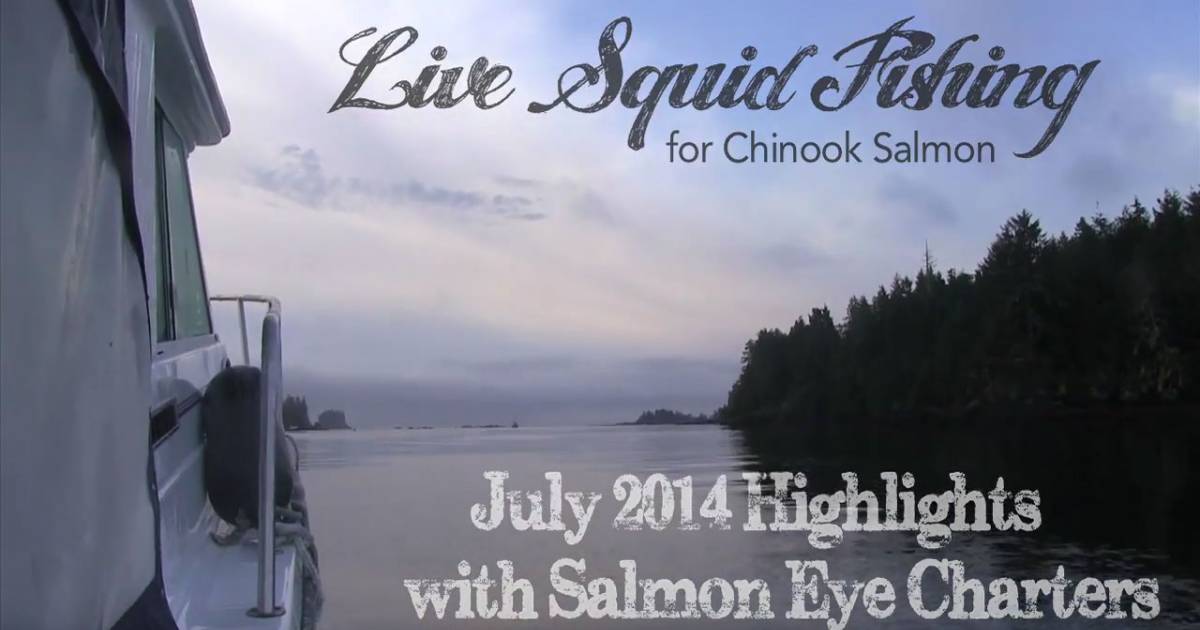 Salmon Eye Charters - Fishing Live Squid for Chinook Salmon