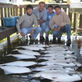 Salmon Eye Charters -50lbs a day guarantee - Fishing Ucluelet BC